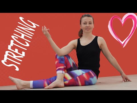 Full Body Stretch - Forward Fold Flexibility / Stretching - YouTube
