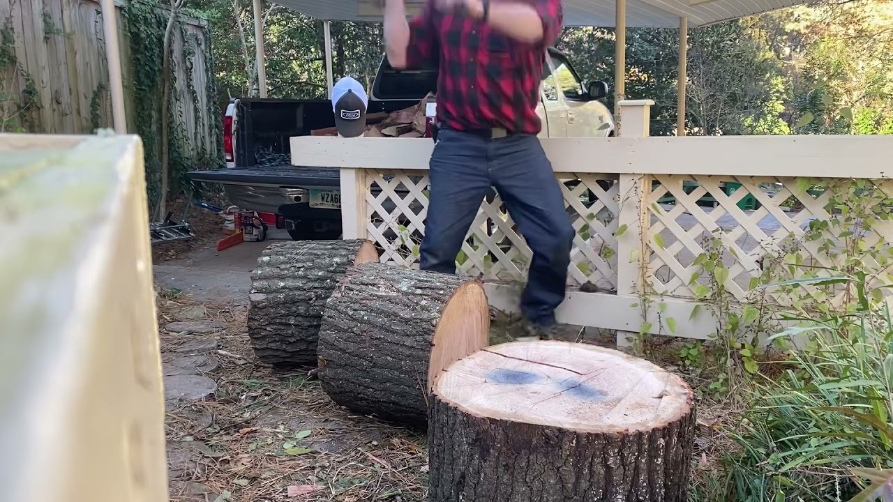 Free firewood and splitting big oak rounds - YouTube