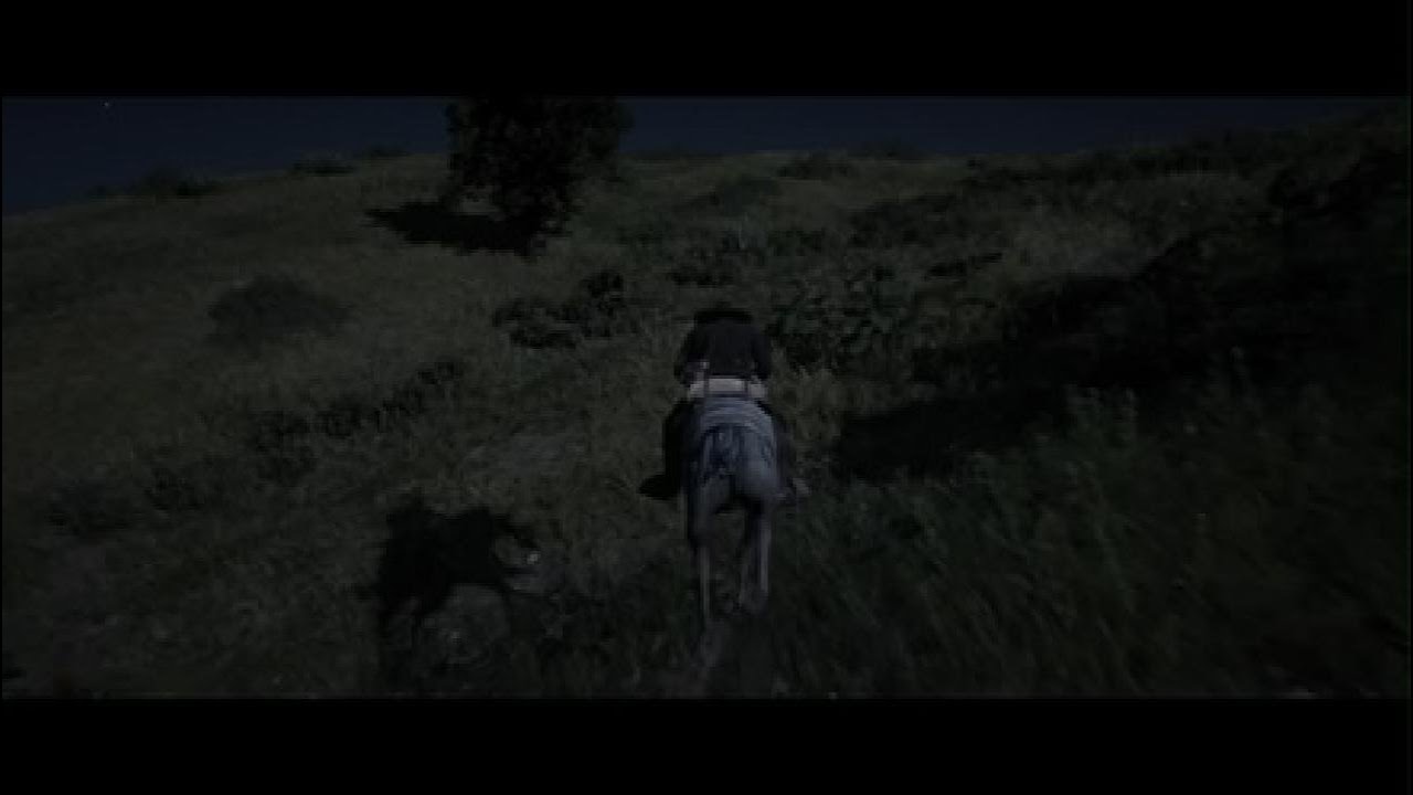 Red Dead Redemption 2 Horse POWER - YouTube