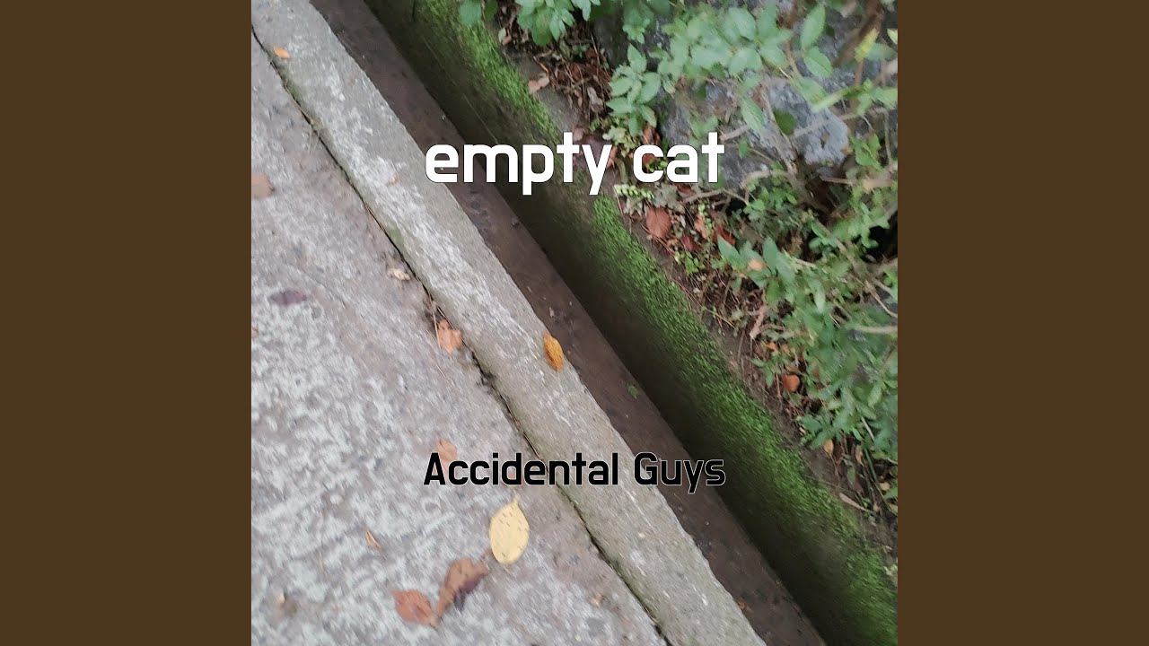 empty cat - YouTube
