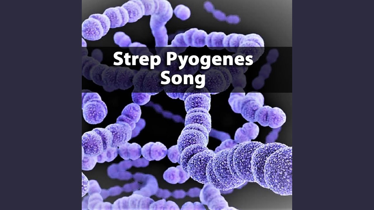 The Song Of Streptococcus pyogenes | Sing & Learn - YouTube
