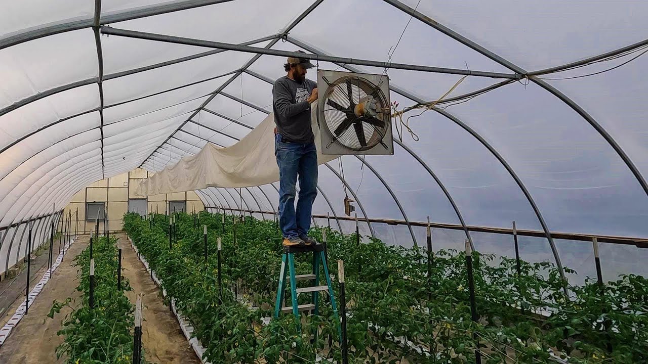 PROBLEMS ON THE FARM - YouTube