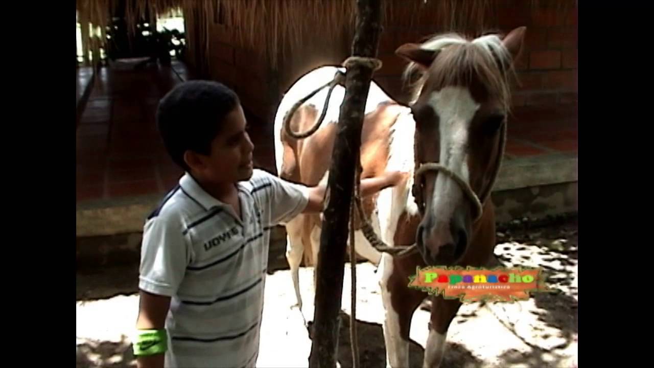 PAPANACHO FINCA AGROTURISTICA - YouTube