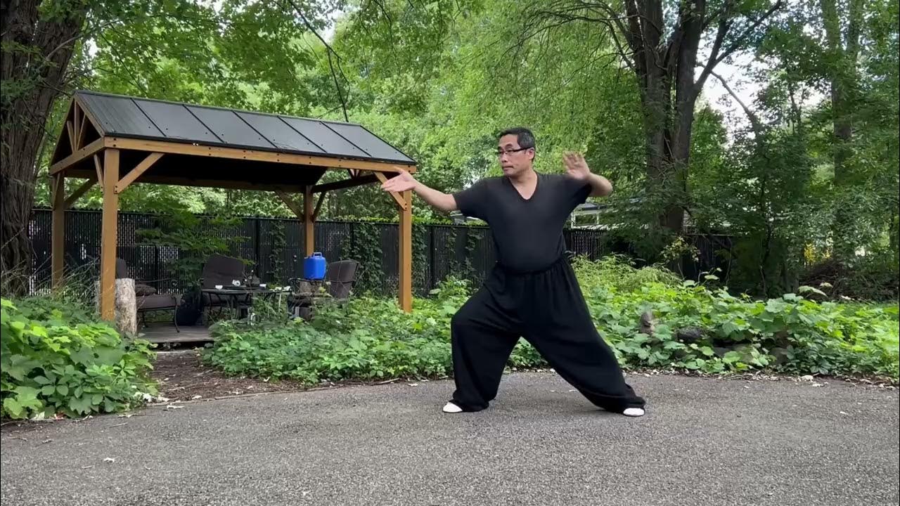 My Casual Practice (10):Some Movements of Chen Style Tai Chi 2nd Routine (Cannon Fist) - YouTube