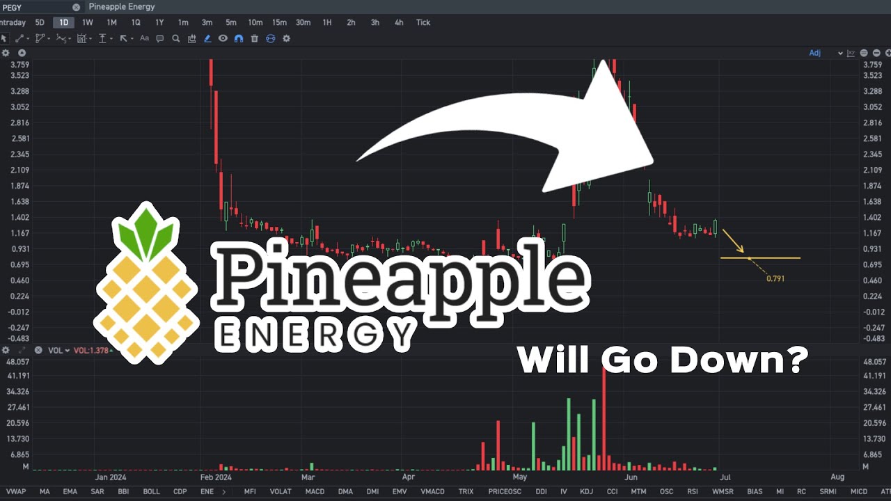 PEGY Stock Price Prediction: Will Go Down? | PEGY stock analysis - YouTube