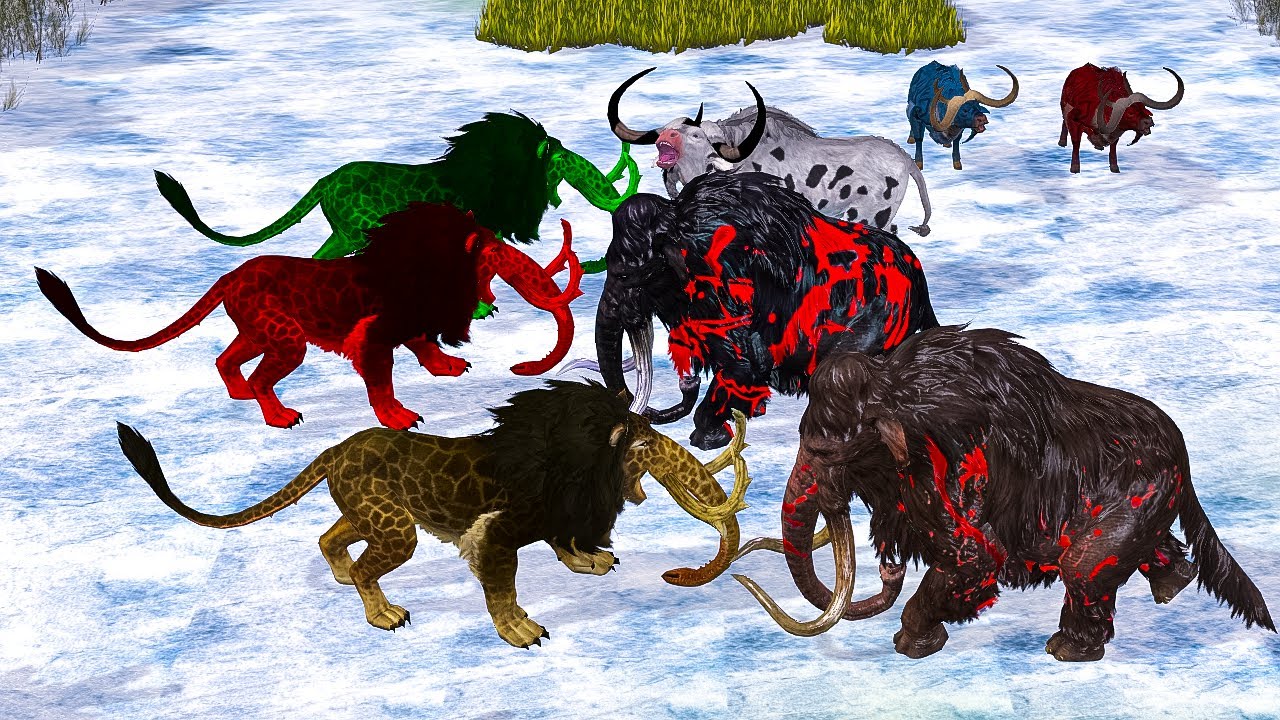 monster baku elephant vs evil buffalo fight the rest of the buffalo are ...