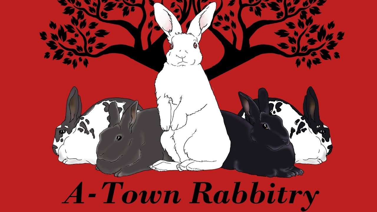 Official Rabbitry Tour 2020 Setup - YouTube