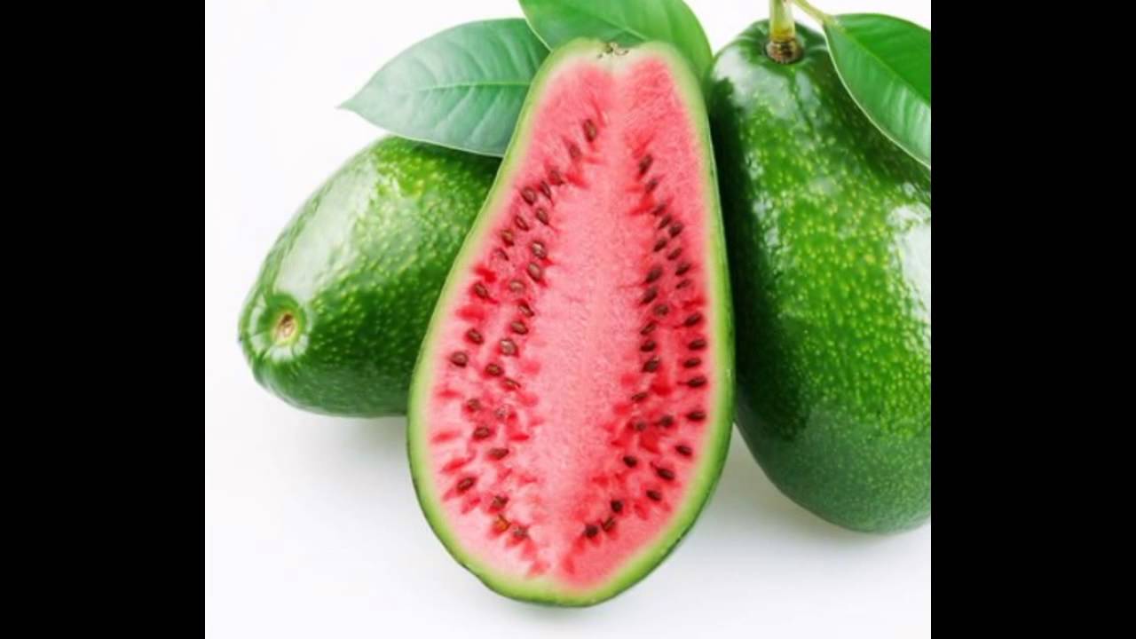 zatla de kader - YouTube