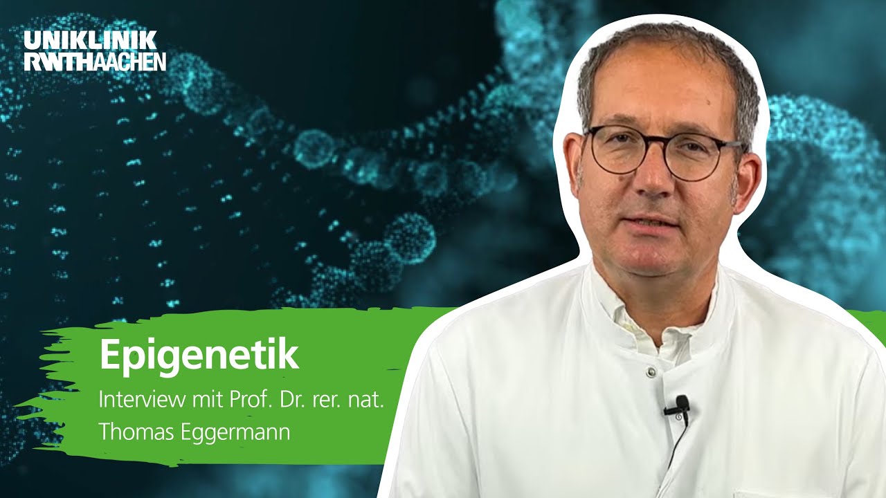 Epigenetik: Nachgefragt bei Prof. Thomas Eggermann - YouTube