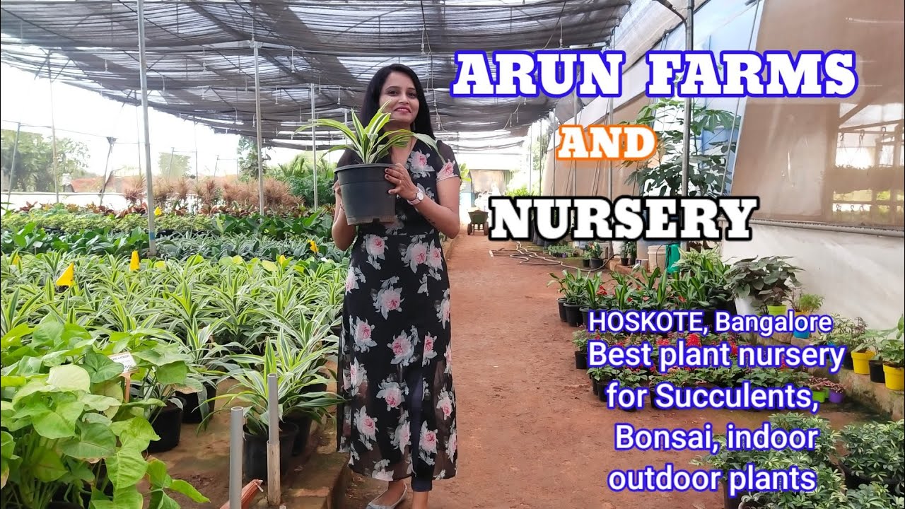 ARUN FARMS & NURSERY|Hoskote, Bangalore|Best plants nursery in ...
