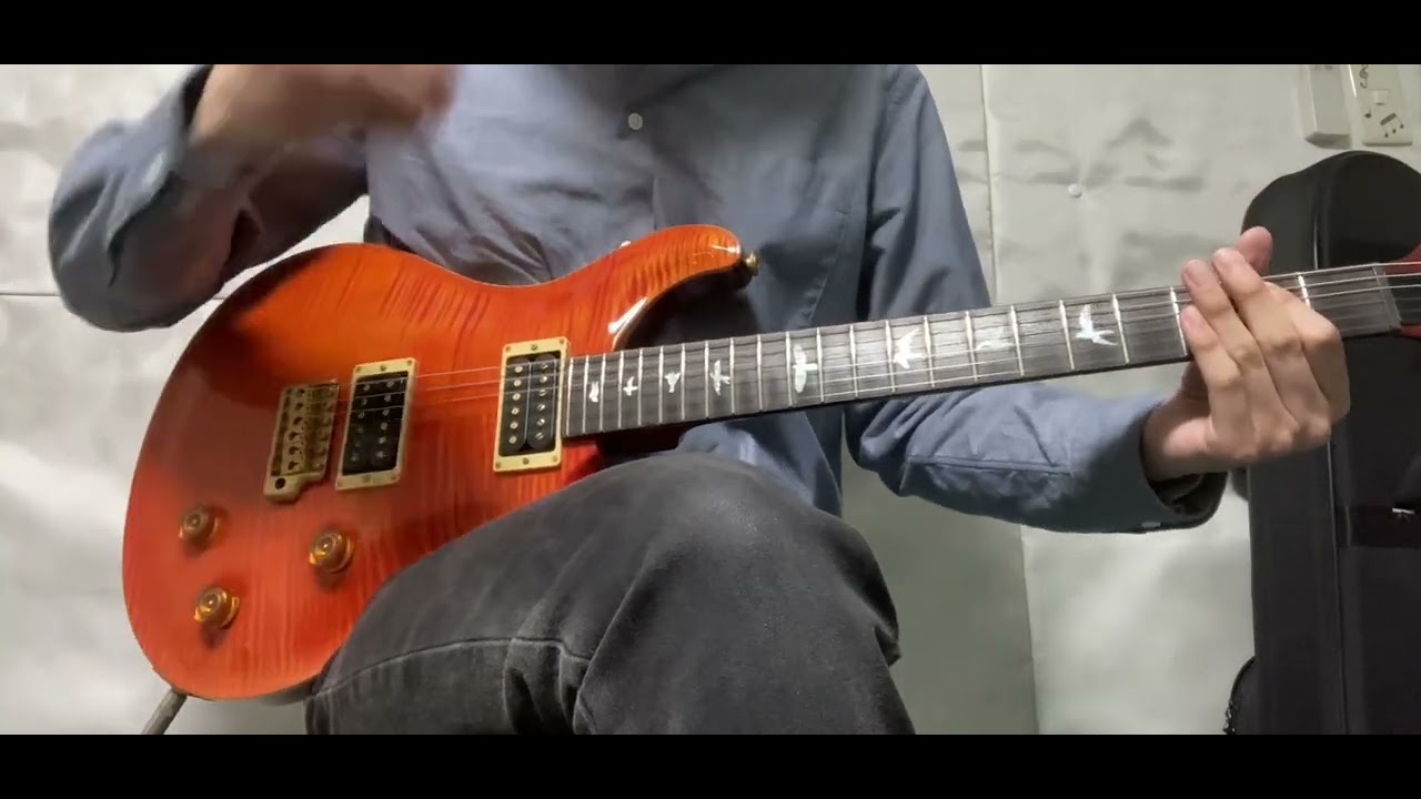 PRS Custom 22(1995) Sound Check - YouTube