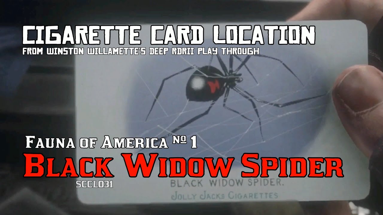 Fauna of America 1: Black Widow Spider - Cigarette Card Location [RDRII ...