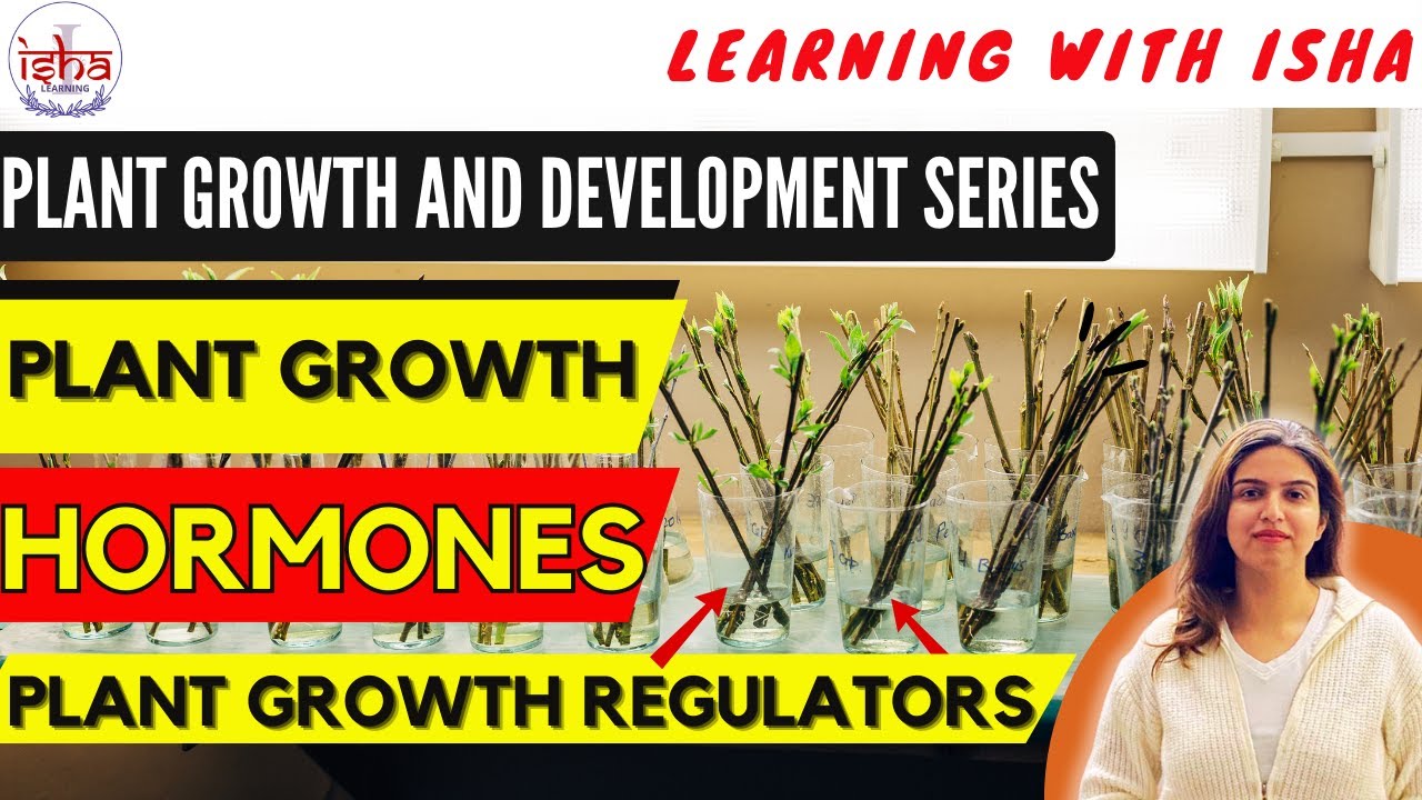 V-5| Plant growth hormone| Plant growth regulator| Phytohormone| Plant ...