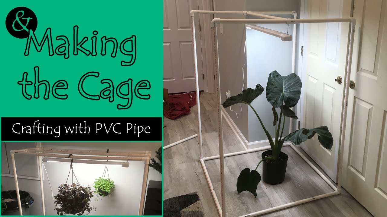 & Making the Cage | Crafting with PVC Pipe - YouTube