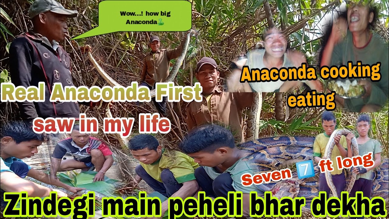 Real anaconda catch🐍 || cooking and eating || Dangerous Anaconda🐍 😱 ...