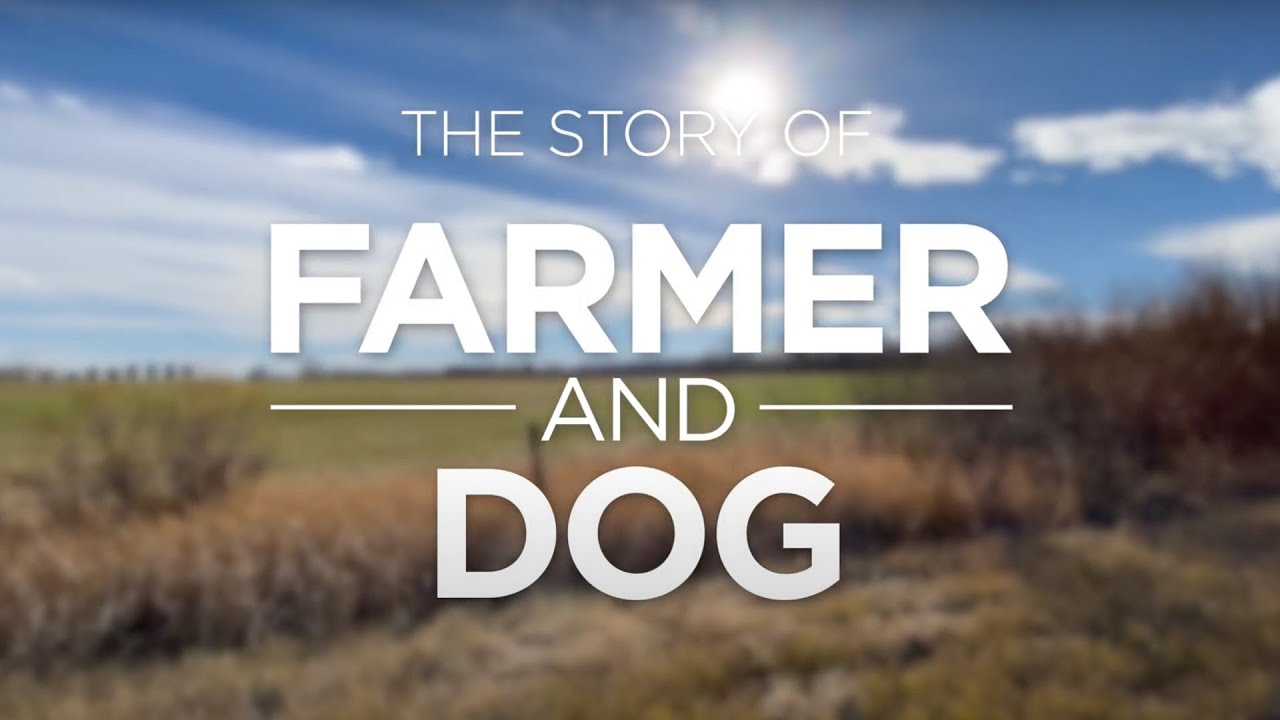 The Story of Farmer and Dog - YouTube