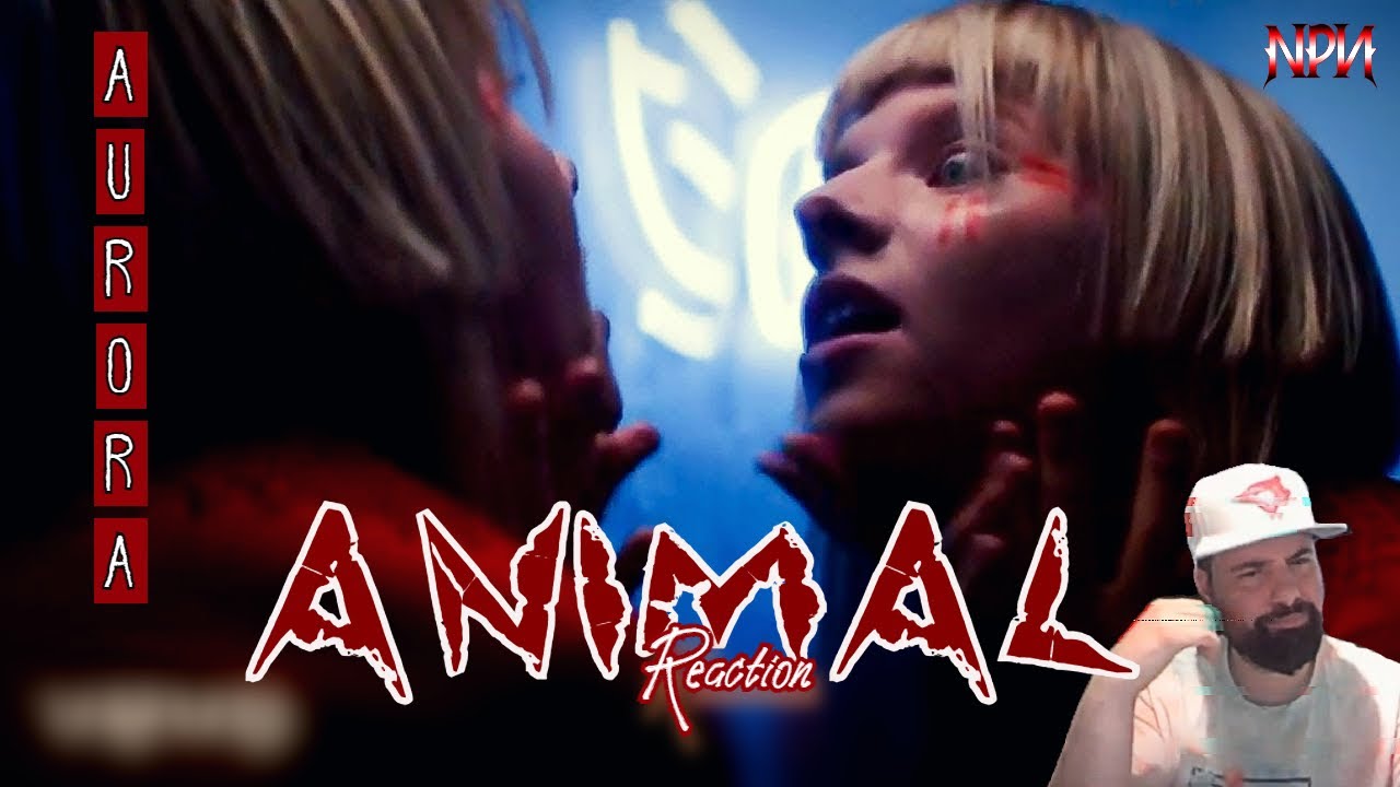 Frenchie Reacts | Aurora Animal Reaction| - YouTube