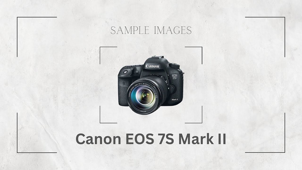 Canon EOS 7D Mark II Sample Photos | Images by Canon EOS 7D Mark II ...