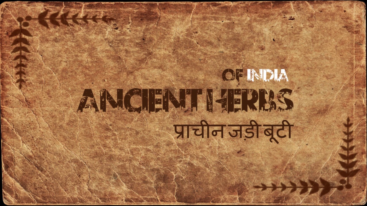 Ancient Herbs of india Trailer - YouTube