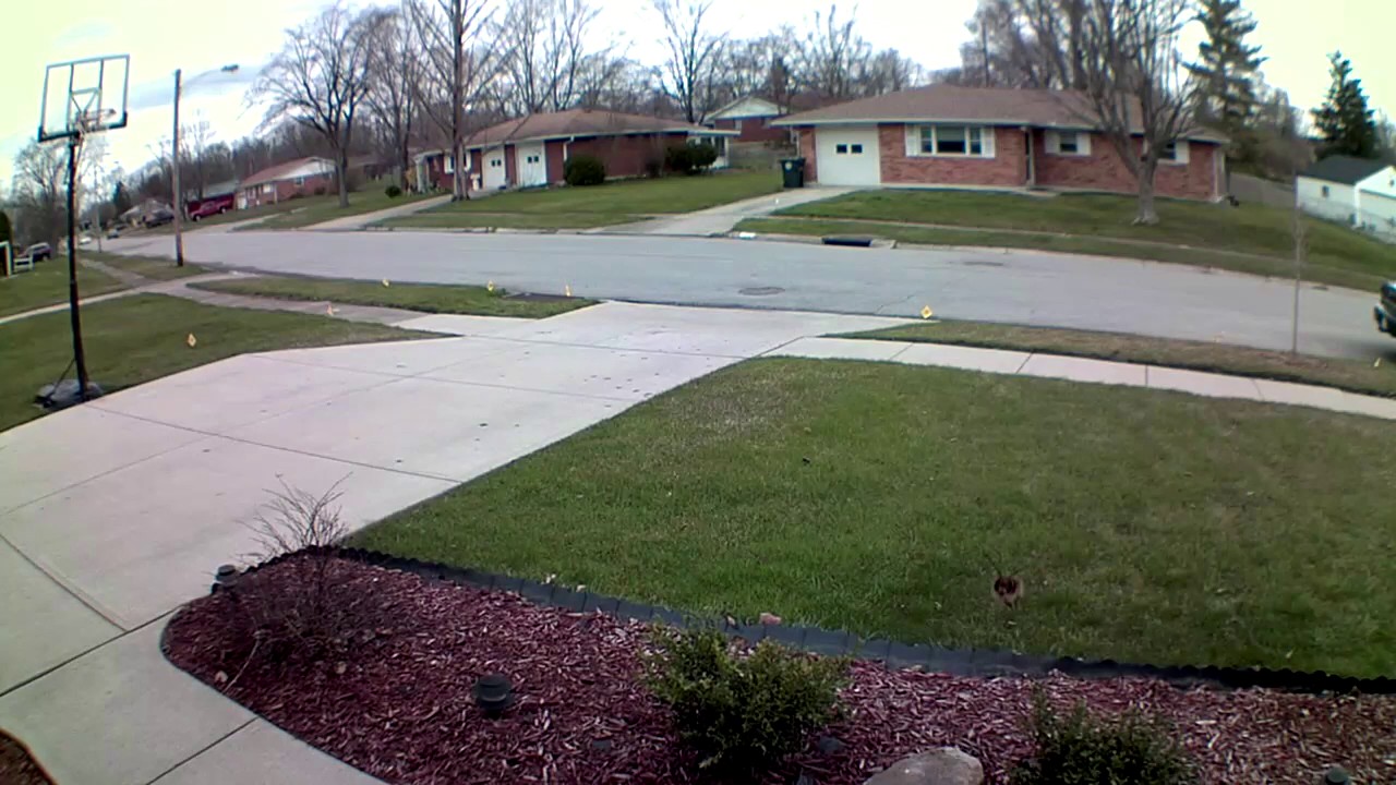 Bumble Bee setting off security camera - YouTube