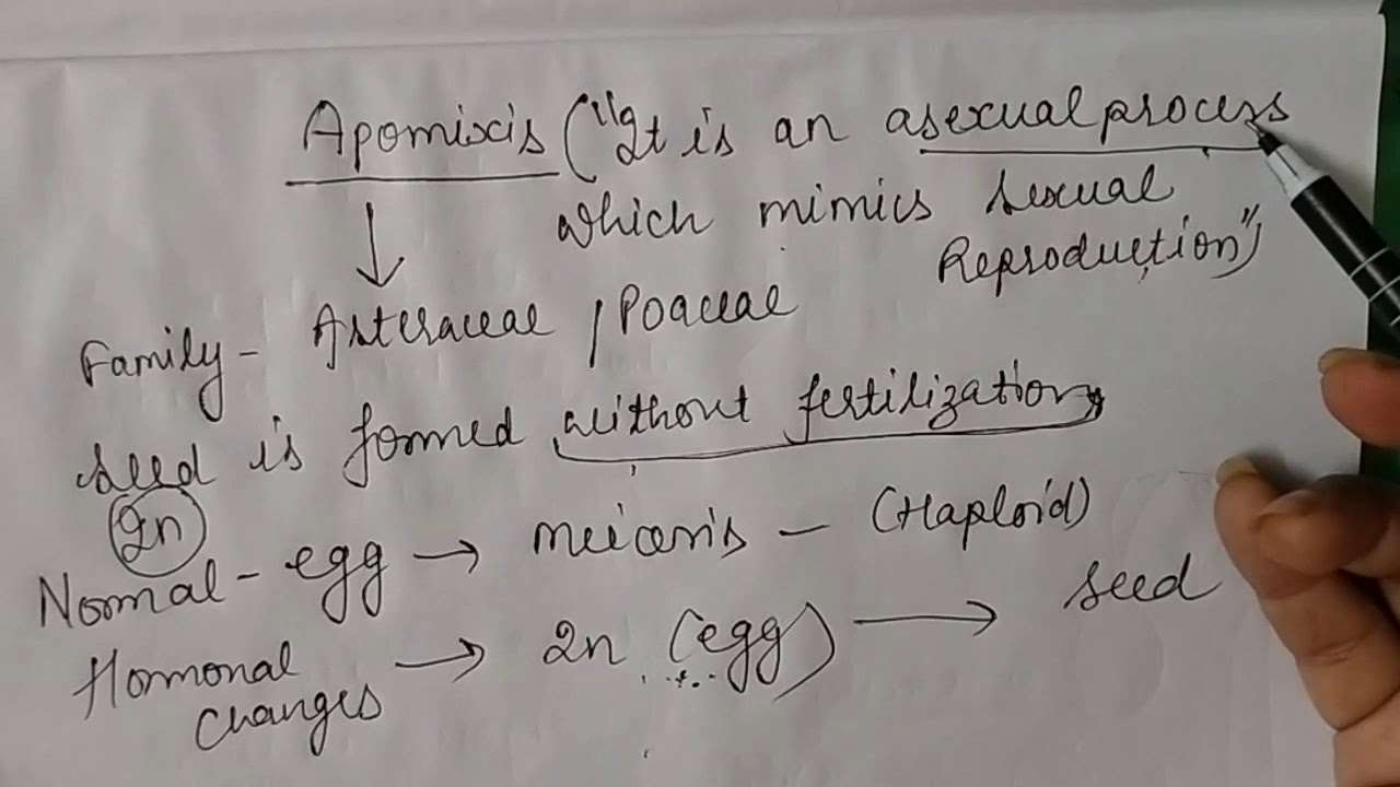 Class-12 Apomixis , Polyembryony and Apogamy - YouTube