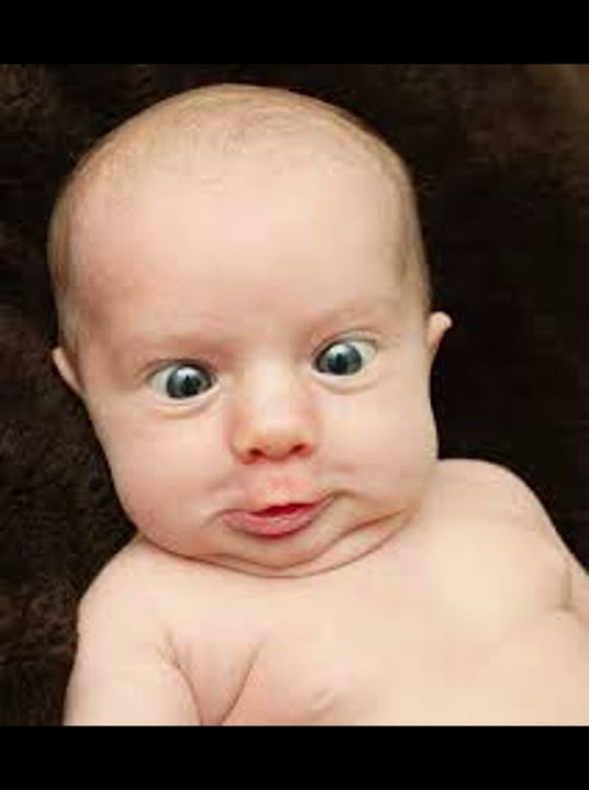 Funny or not-funny?:) - YouTube