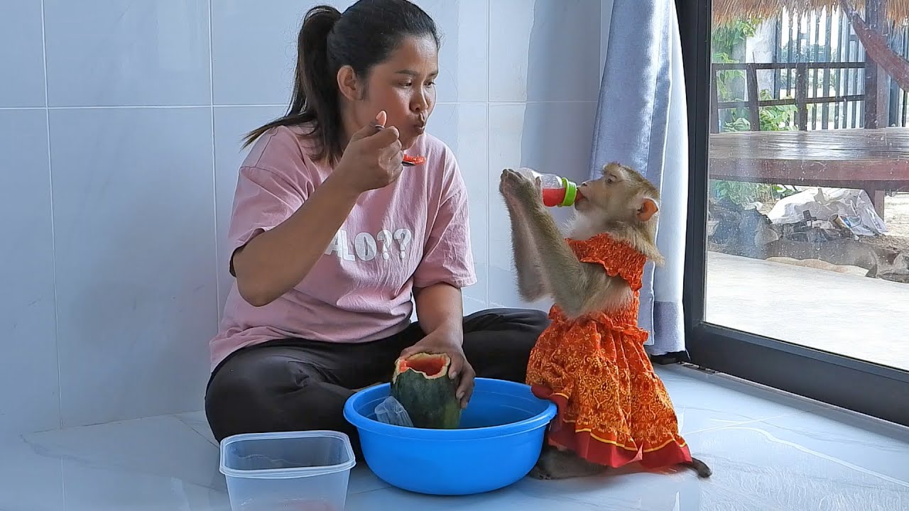 Cute Girl Luna Eats And Drinking Watermelon Juice - YouTube