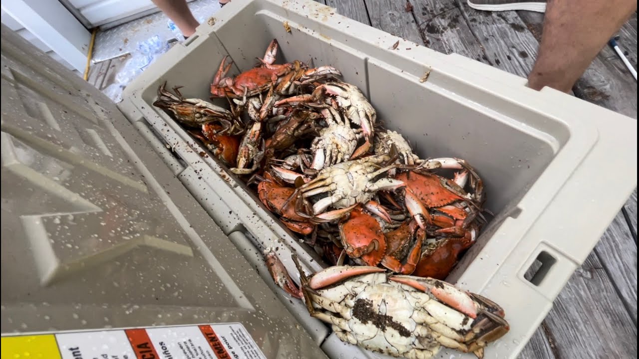 Episode 1- Delaware Crabs - YouTube