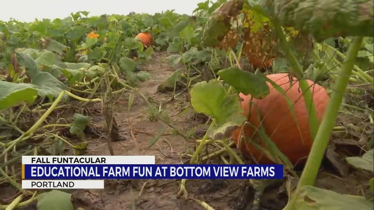 Educational farm fun at Bottom View Farms - YouTube
