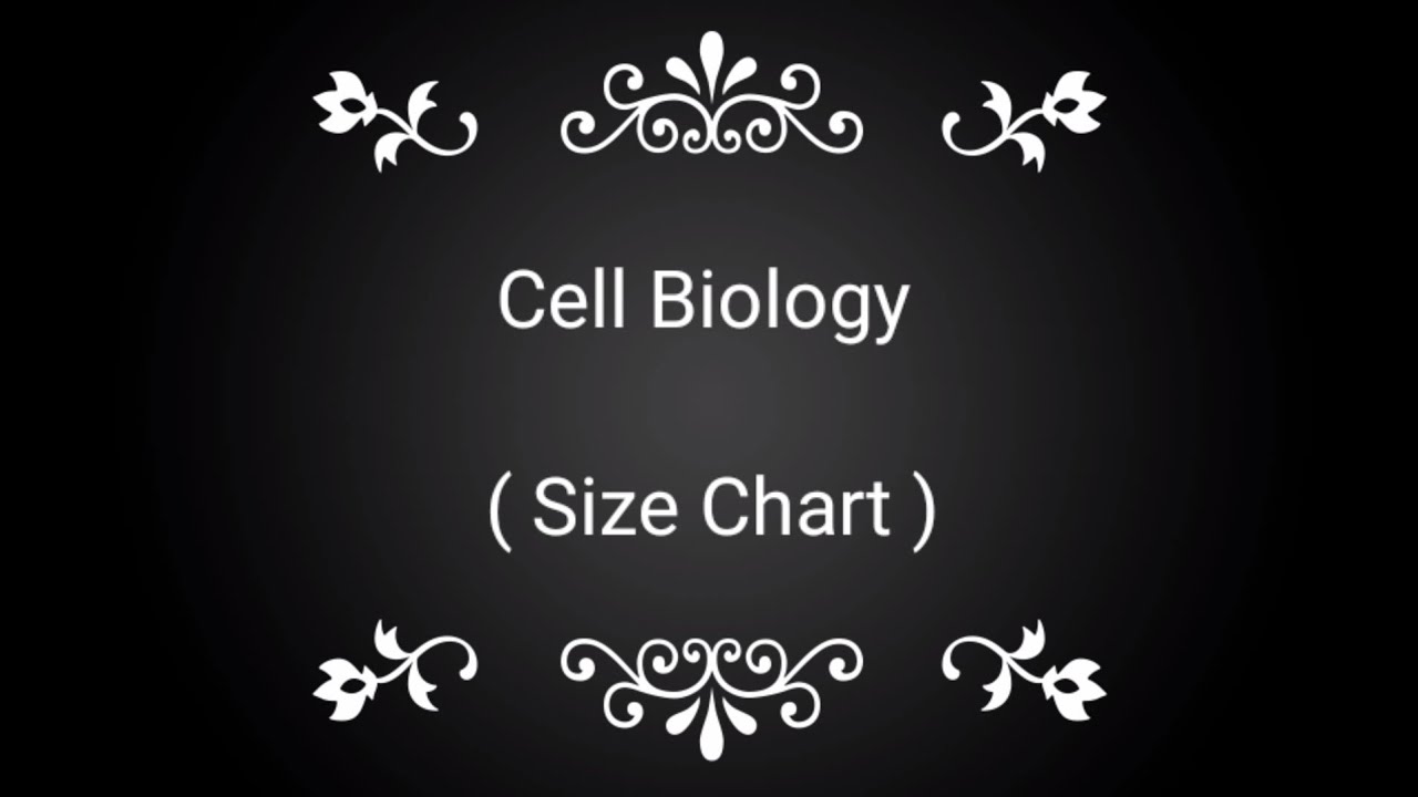 Cell Biology (Size Chart ) Neet Trick With Pdf link - YouTube