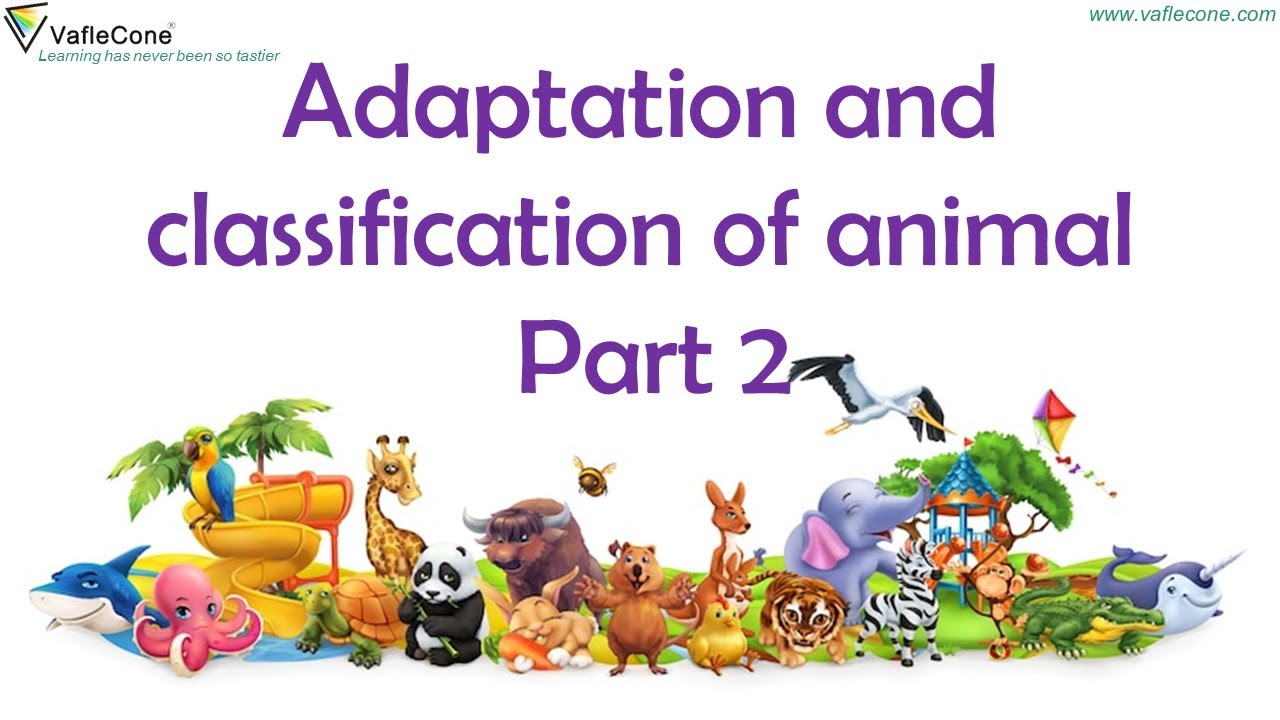 adaptation and classification of animals l vertebrates and ...