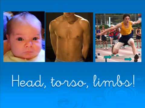 Head, torso, limbs Human body Song - YouTube