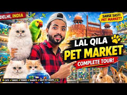 (Delhi) Cheap Price Pet Market | 2026 | Lal Qila Pet Market | Latest Update | Persian Cat , Parrot .