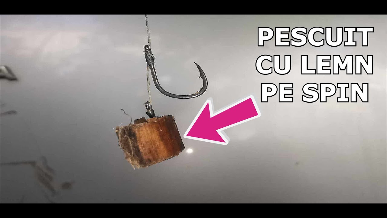 Pescuit CU BUCATA DE LEMN PE SPIN La Feeder Crap si Caras - YouTube