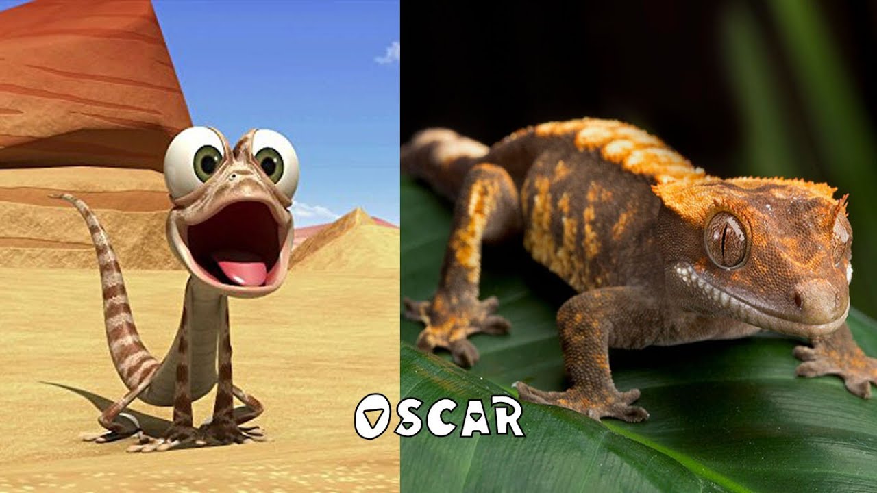 Oscar's Oasis Characters in Real Life 2022 - YouTube