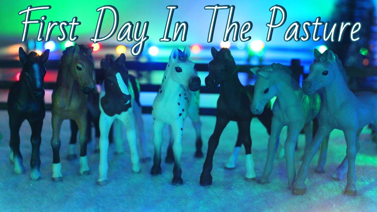 First Day In The Pasture - Schleich Horse Short Film - |Phoenix Stables ...