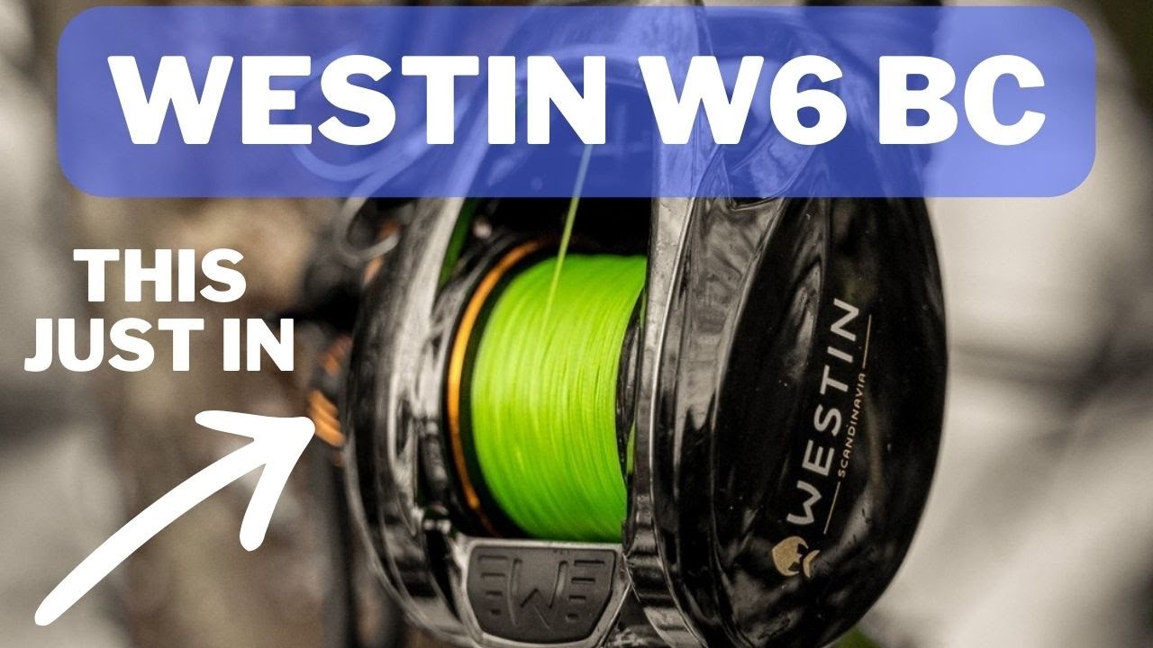 NEW Baitcasting Reels From Westin ?! | WESTIN W6 BC - YouTube