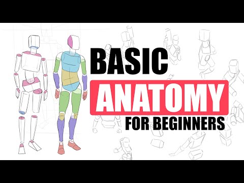 How to Draw a Sketch of a Person: Proportions & Poses Made Easy ...