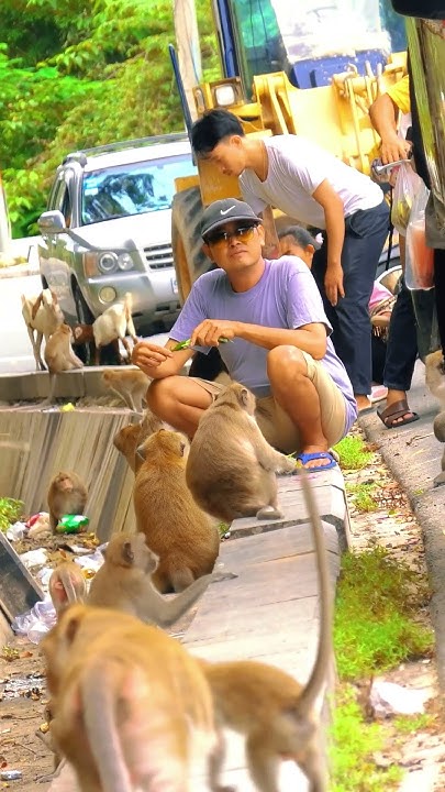 good man give food to monkey #animals #monkeyvideos - YouTube