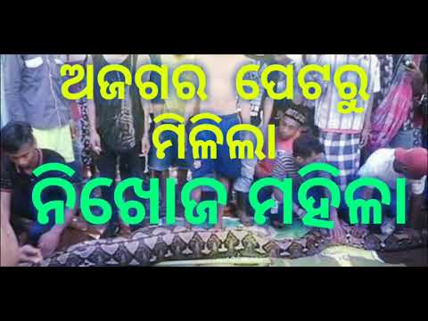 ଅଜଗର ପେଟରୁ ମିଳିଲା ନିଖୋଜ ମହିଳା ( missing women found inside python ...