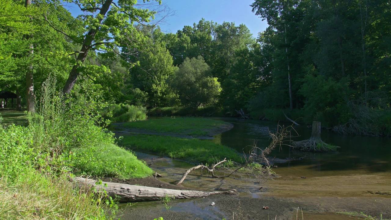 4K Landscape Scene - MorningLight01 - Free Stock Footage - YouTube