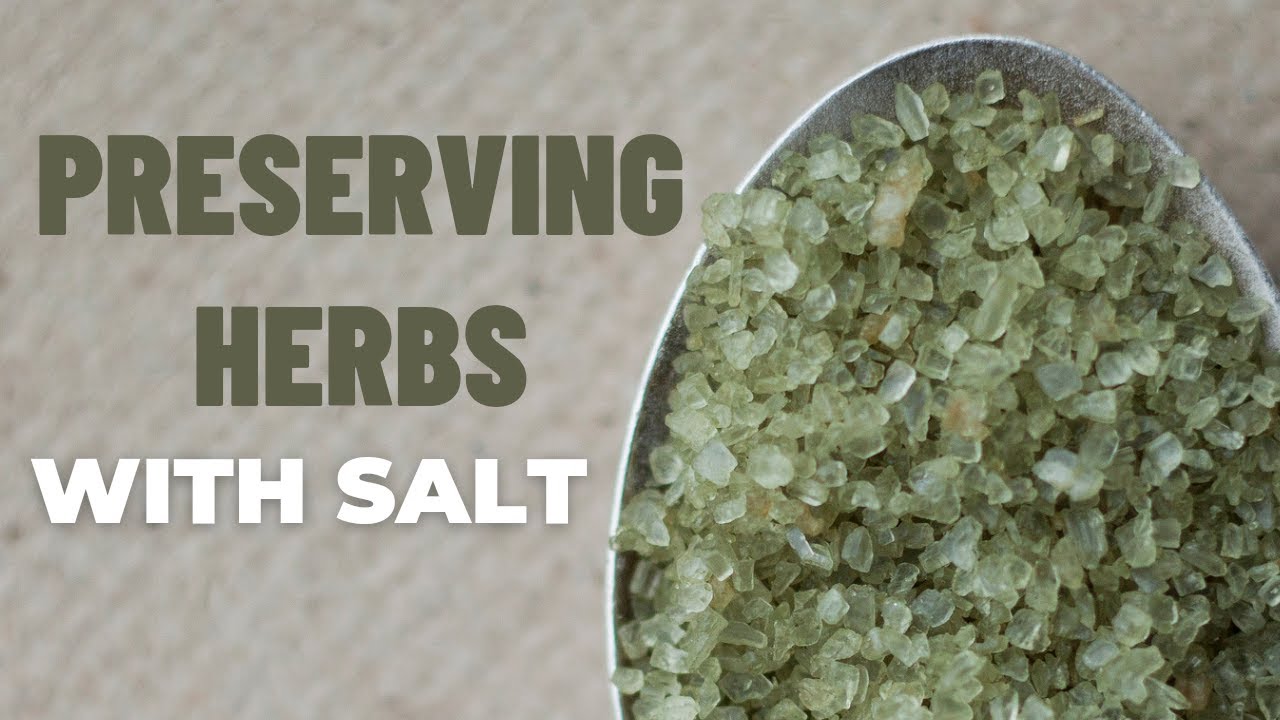 Preserving herbs with salt | Making herb salts | The best way to ...