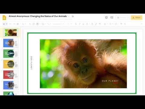 Almost Anonymous: Changing the Status of our Animals