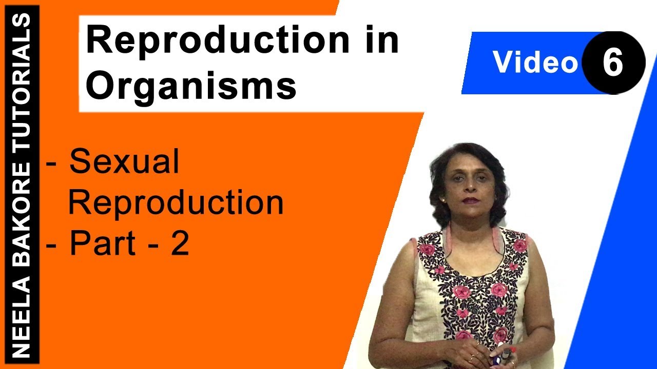 Reproduction in Organisms | NEET | Sexual Reproduction - Part 2 | Neela ...