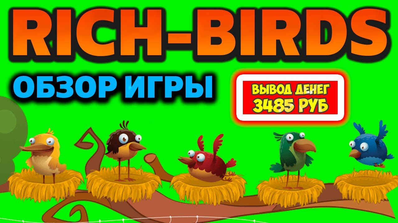 Rich-Birds обзор и отзывы 2024 (экономическая игра с выводом денег Рич ...