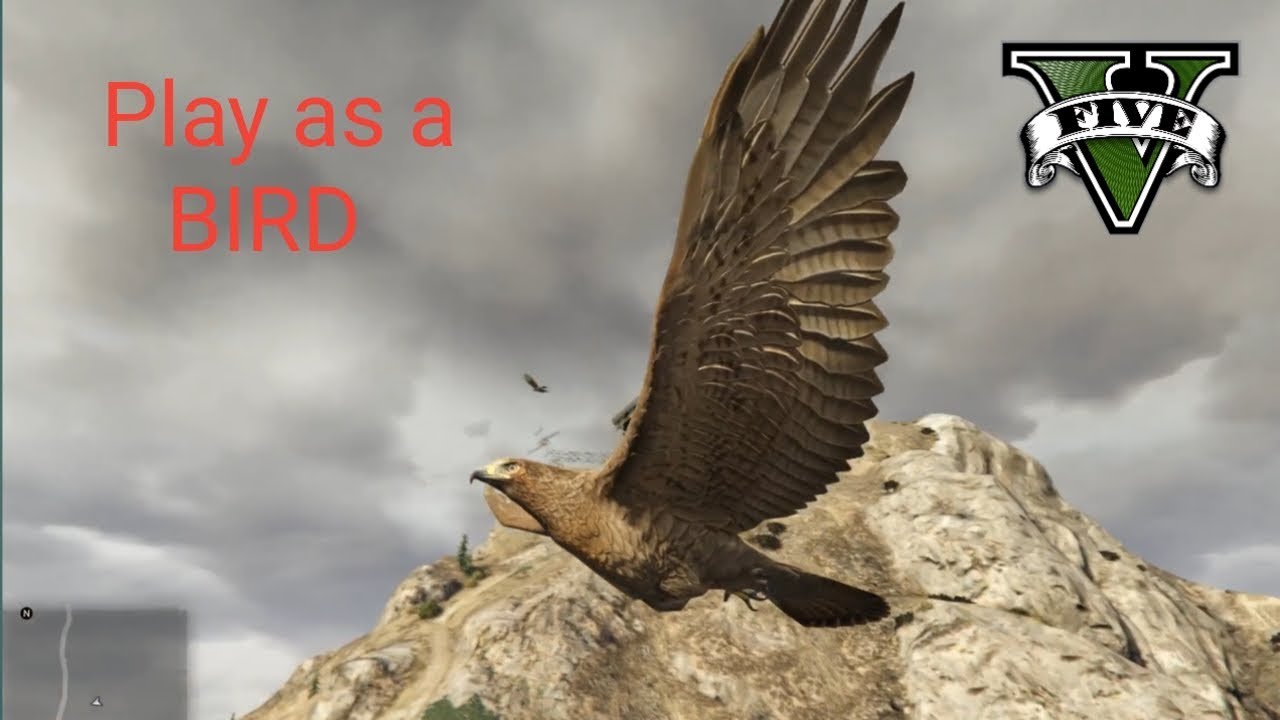 Gta 5 - Play as a bird - (Gameplay) 2018 - YouTube