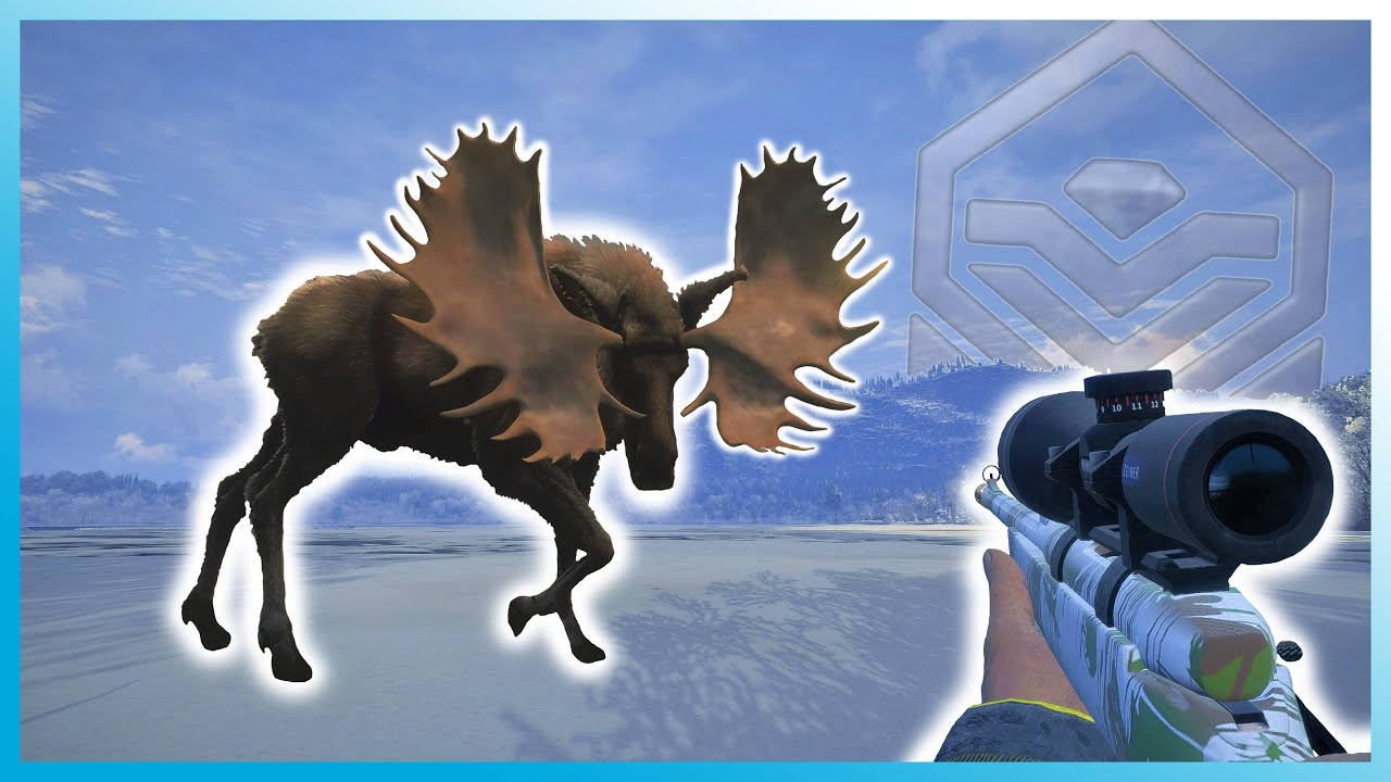Diamonds and Rares from Multiplayer | COTW - YouTube