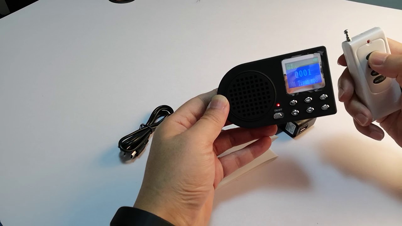 Hunting Decoy Bird Mp3 Player - YouTube