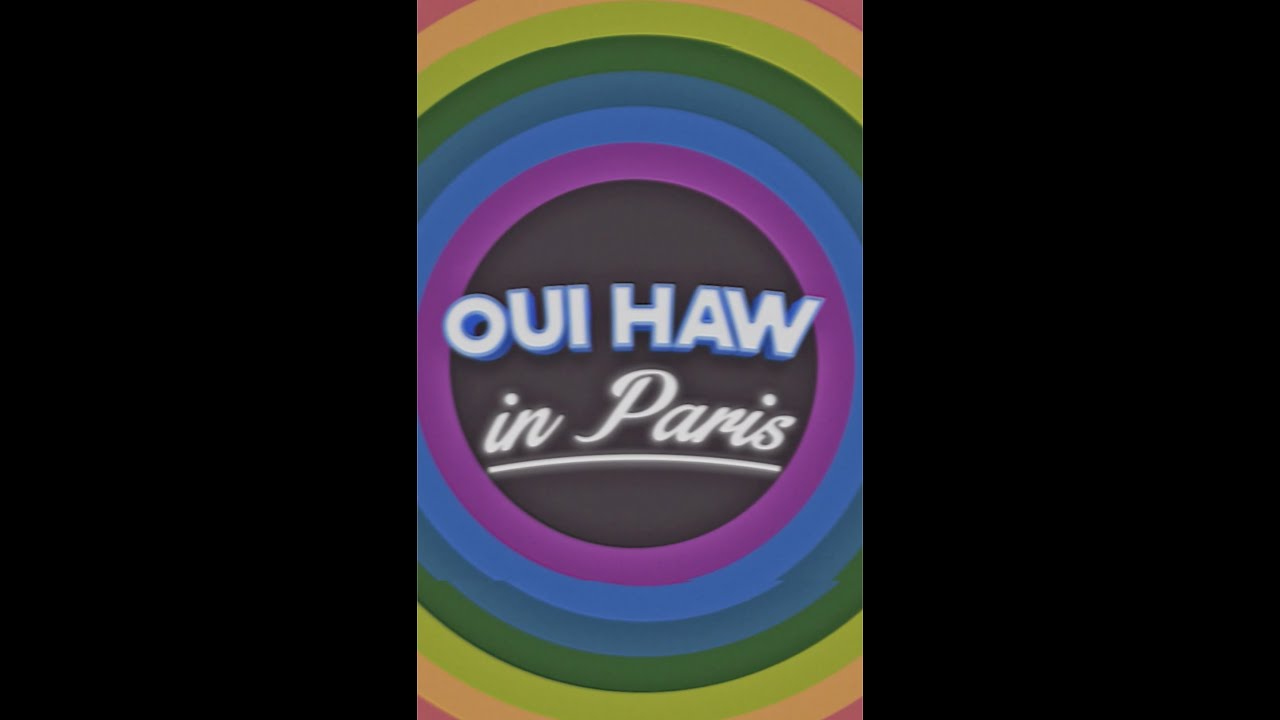 Dropout Diaries (Episode #17) | oui haw - bsd gets eiffel towered - YouTube