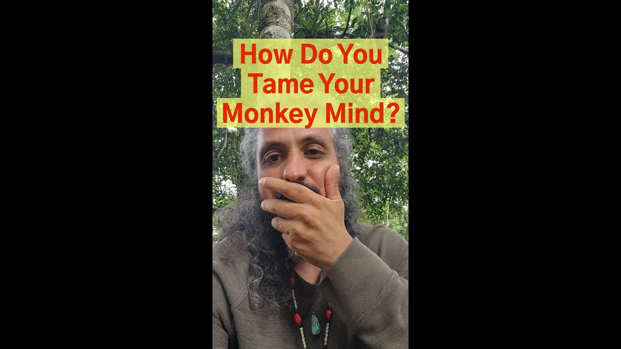 How do You Tame Your Monkey Mind? - YouTube